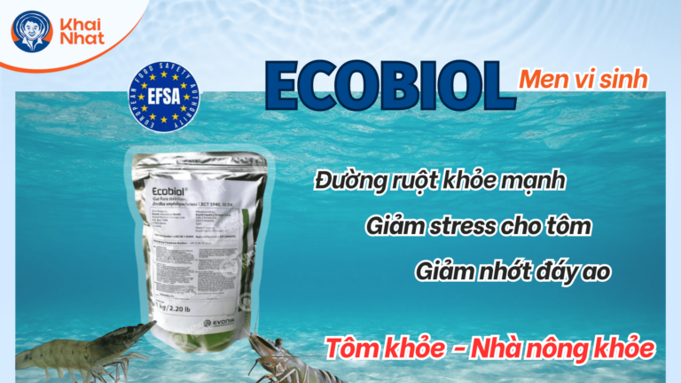 Khai Nhật PC - Thức Ăn Thủy Sản & Giải Pháp Xử lý Nước