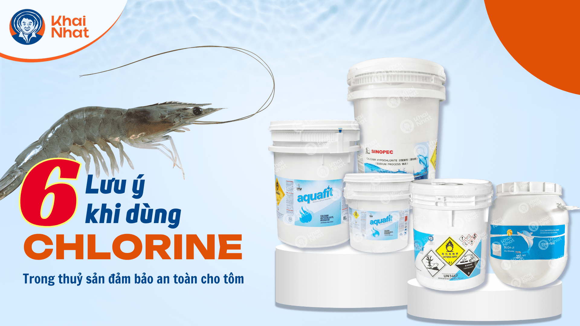 6 lưu ý khi dùng Chlorine trong thuỷ sản đảm bảo an toàn cho tôm - Khai ...