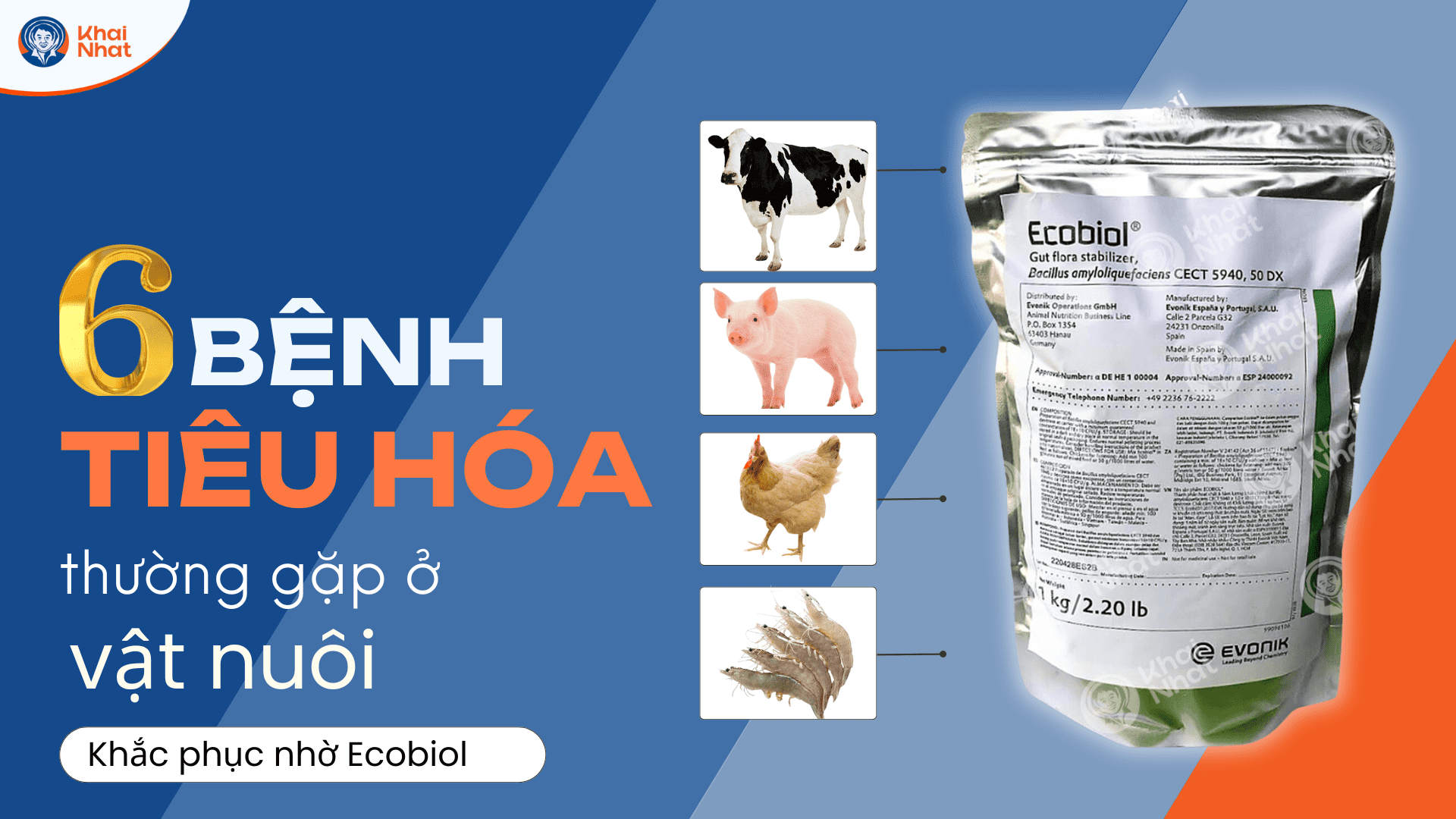6 Bệnh tiêu hóa thường gặp ở vật nuôi - Khắc phục nhờ Ecobiol - Khai Nhật