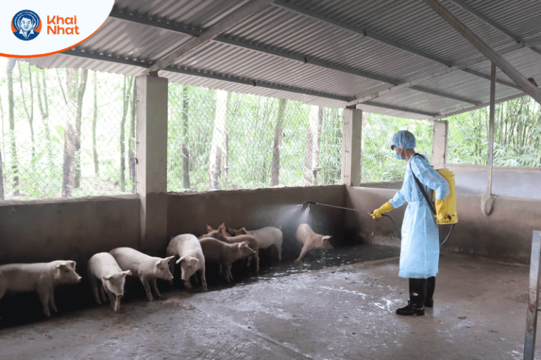Chloramine T khử khuẩn, diệt trùng hiệu quả lên đến 99% - Khai Nhật