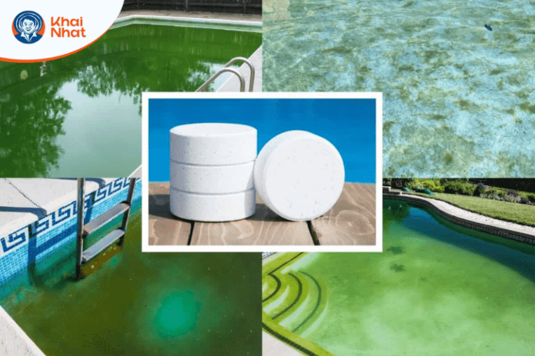 Nồng độ Clo trong hồ bơi có tiêu chuẩn bao nhiêu là ổn? - Khai Nhật
