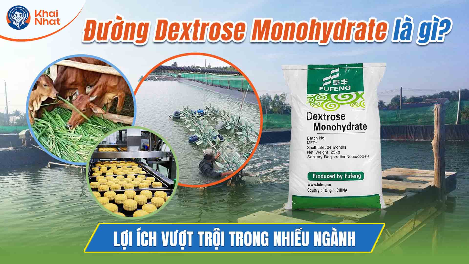 Đường Dextrose Monohydrate là gì? Lợi ích trong nhiều ngành