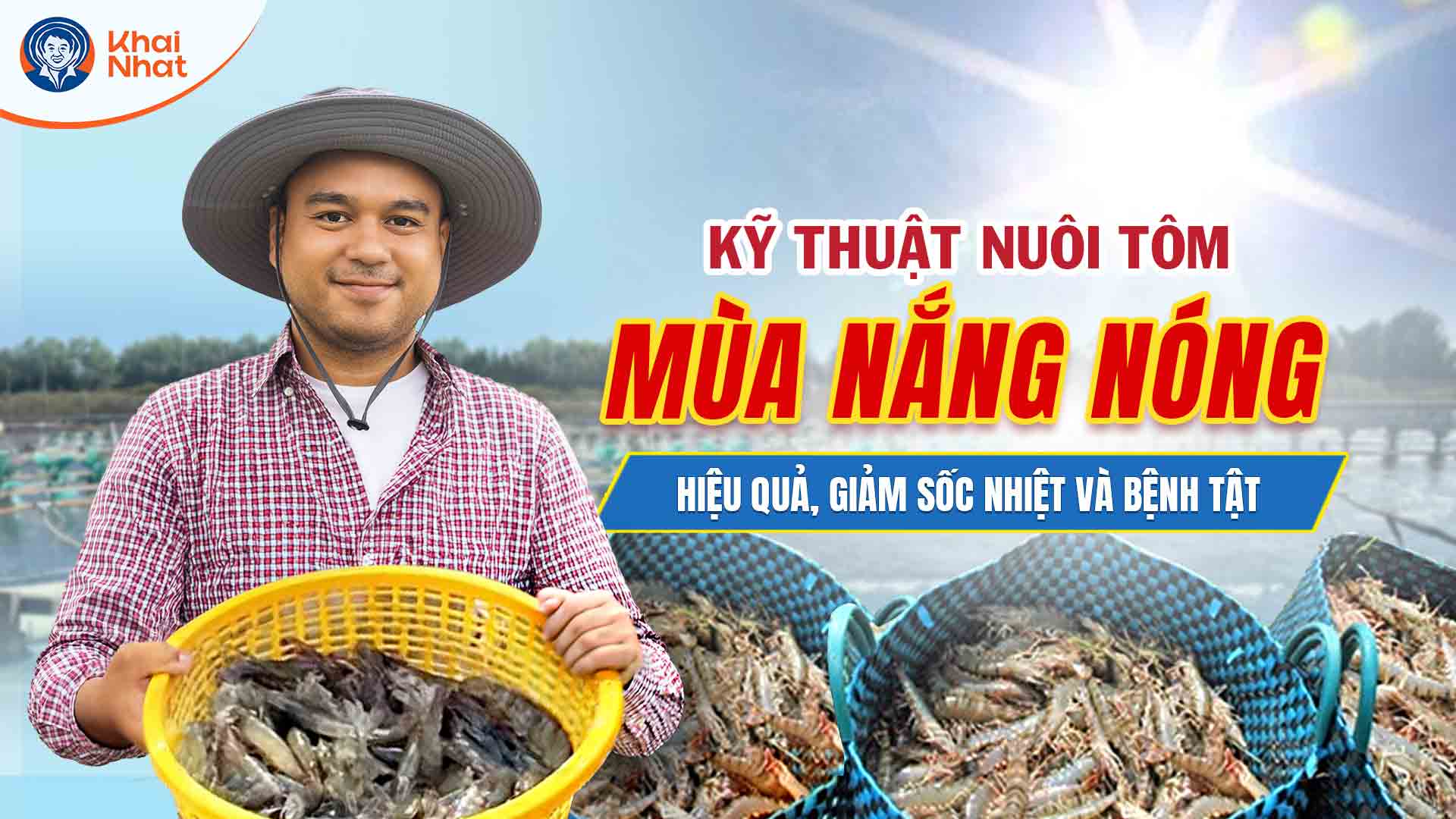 Kỹ thuật nuôi tôm mùa nắng nóng hiệu quả, giảm sốc nhiệt