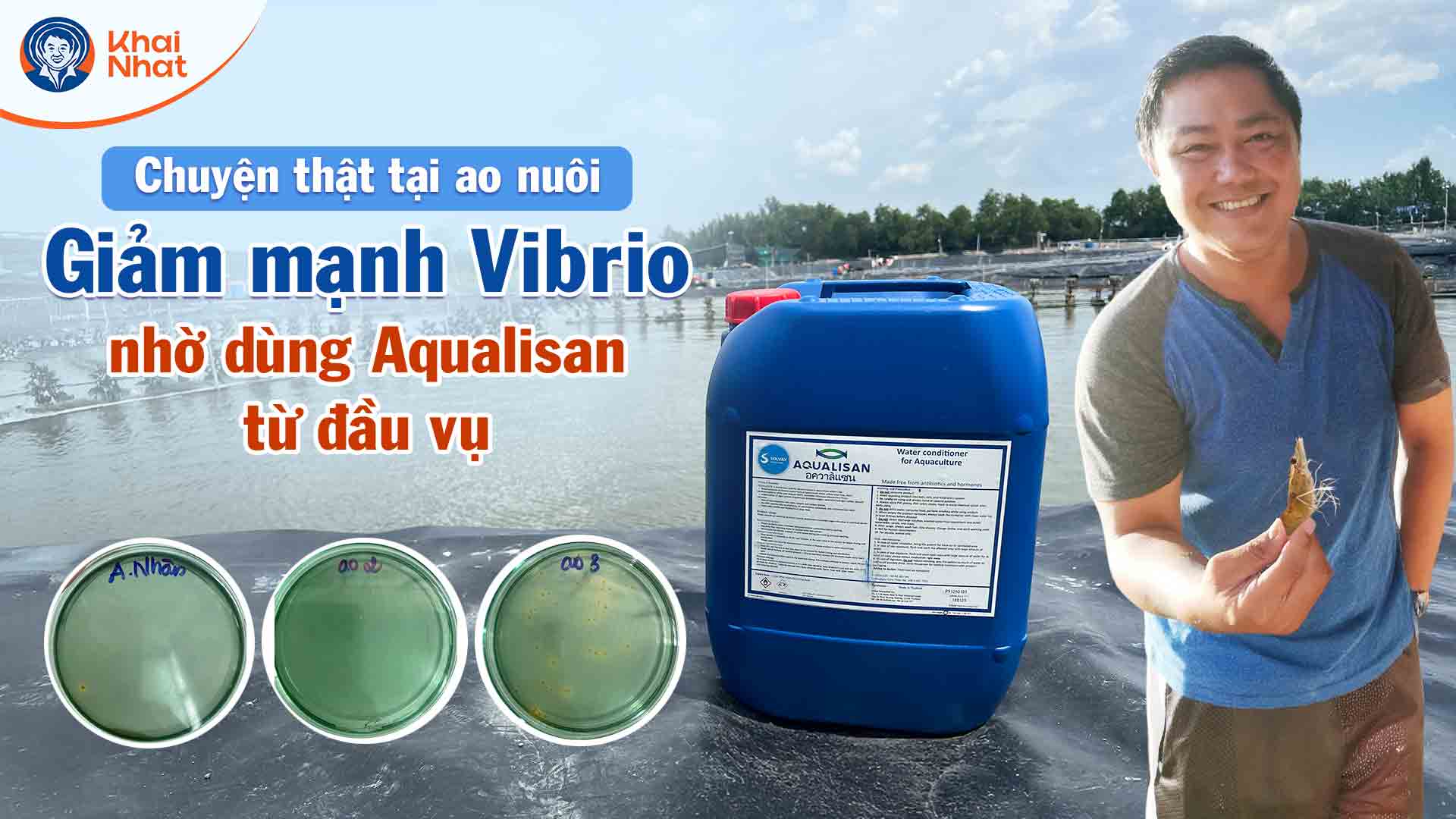Chuyện thật tại ao nuôi - Giảm mạnh Vibrio nhờ dùng Aqualisan từ đầu vụ