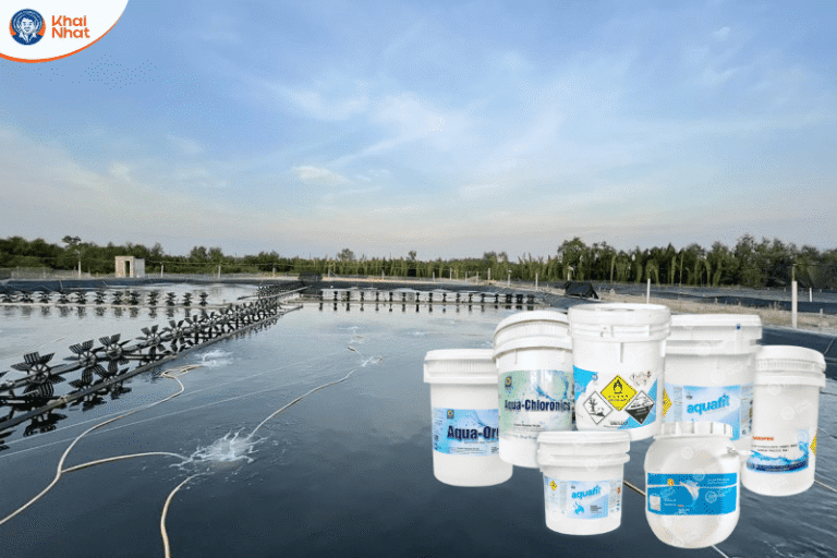 Thuốc tím và chlorine có gì khác biệt khi dùng khử khuẩn ao nuôi ...