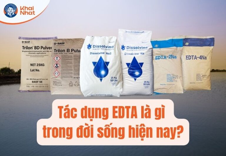 EDTA có tác dụng gì? Hướng dẫn chi tiết cách sử dụng EDTA - Khai Nhật