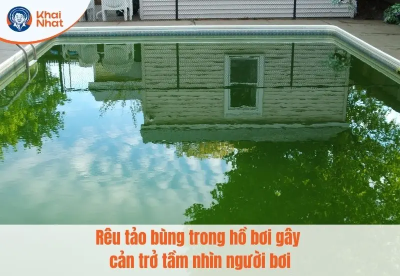 Cách xử lý nước hồ bơi bị nhiễm rêu nhanh chóng, hiệu quả